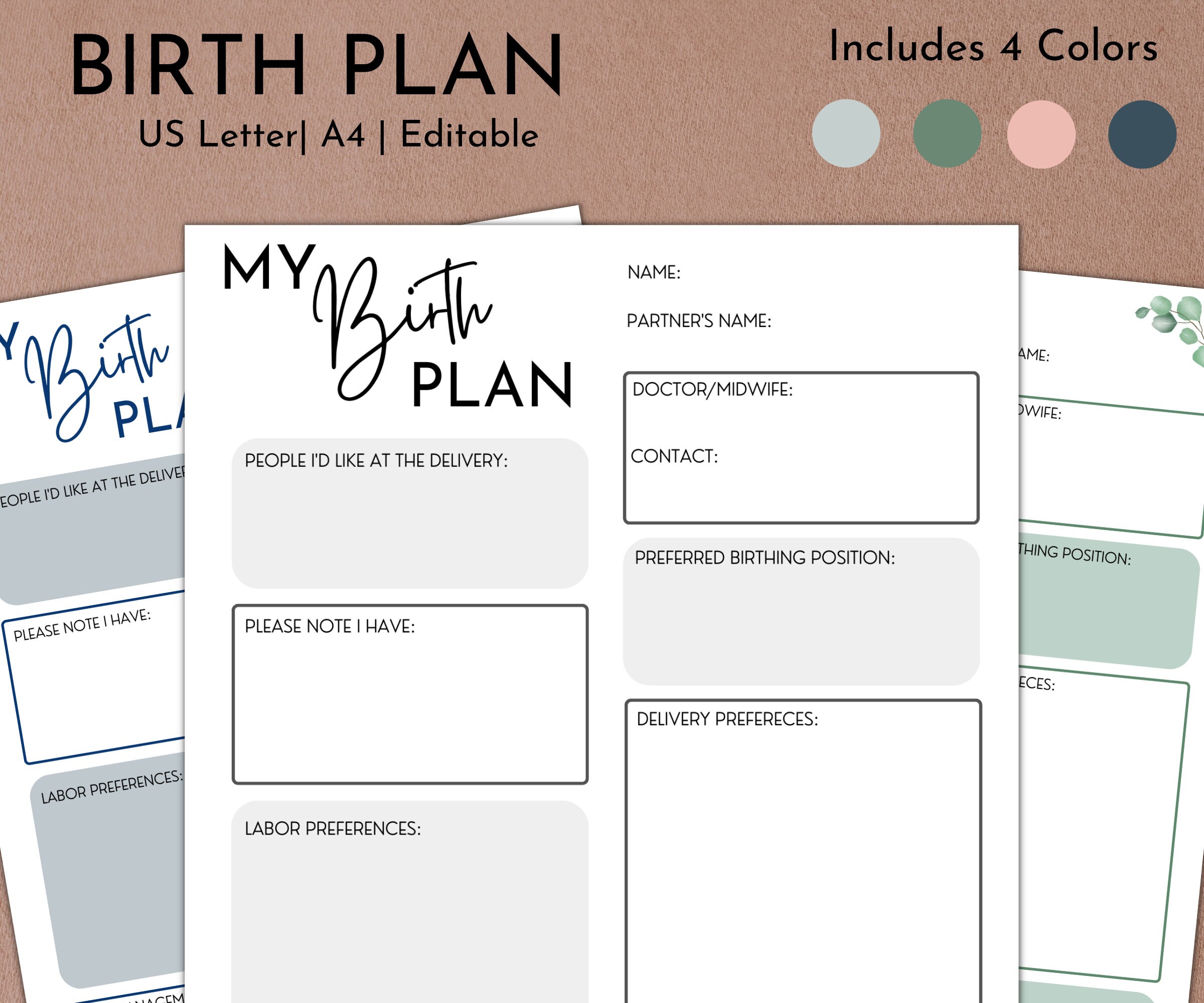 Printable Birth Plan Template Editable Birth Preference - Etsy