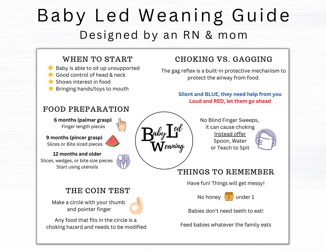 Baby Led Weaning 101 Reference Guide Printable BLW 101 - Etsy
