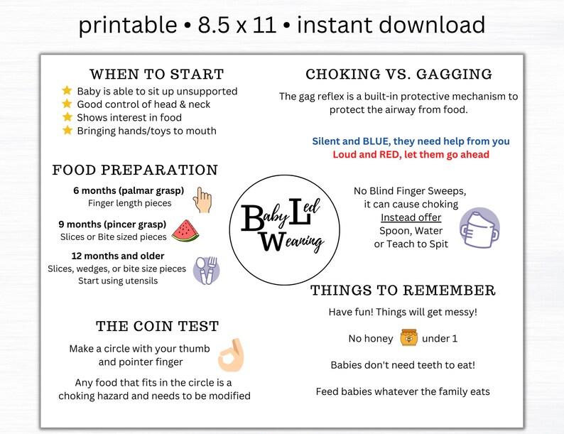 Baby Led Weaning 101 Reference Guide | Printable BLW 101 Information ...