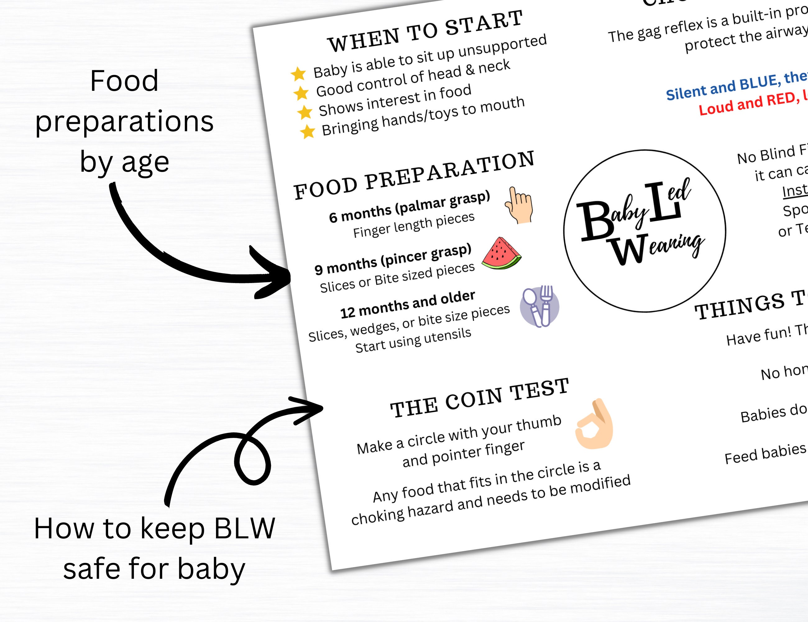 Baby Led Weaning 101 Reference Guide Printable BLW 101 Information ...