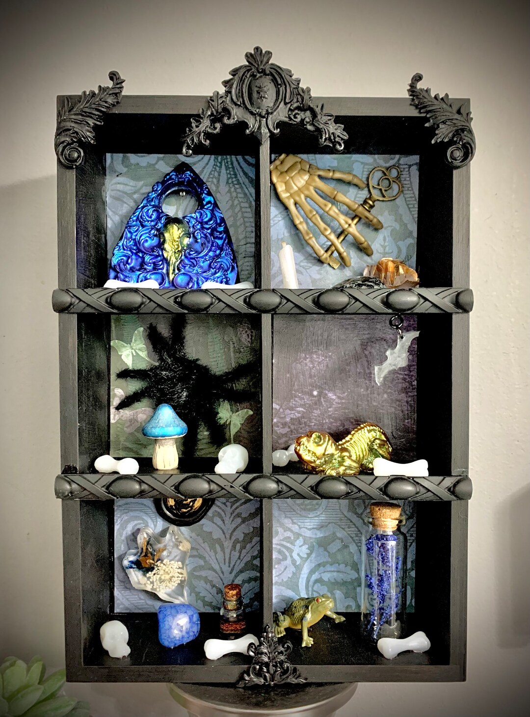 Curiosity Display - Etsy