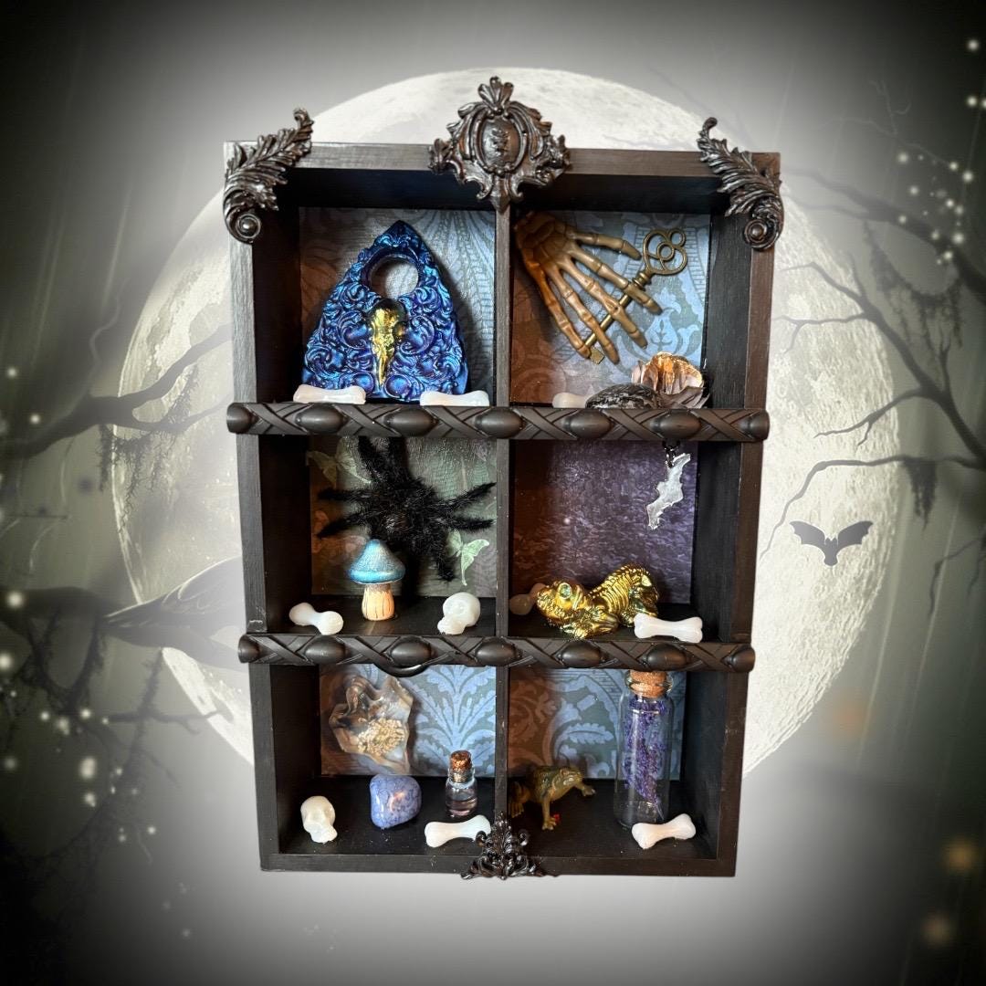 Curiosity/oddity Display - Etsy