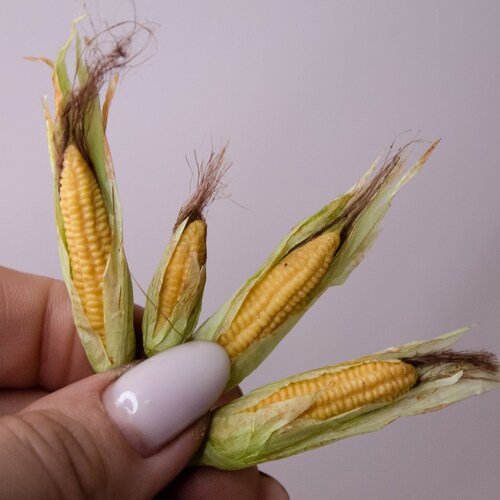 Miniature Corn 1/6 Scale 1/12 Scale Mini Vegetables for a - Etsy