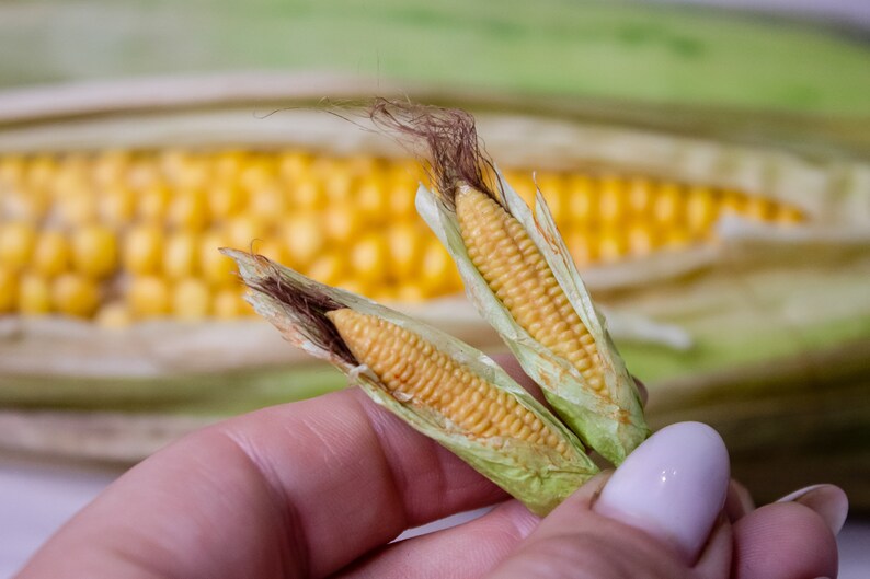 Miniature Corn 1/6 Scale 1/12 Scale Mini Vegetables for a - Etsy