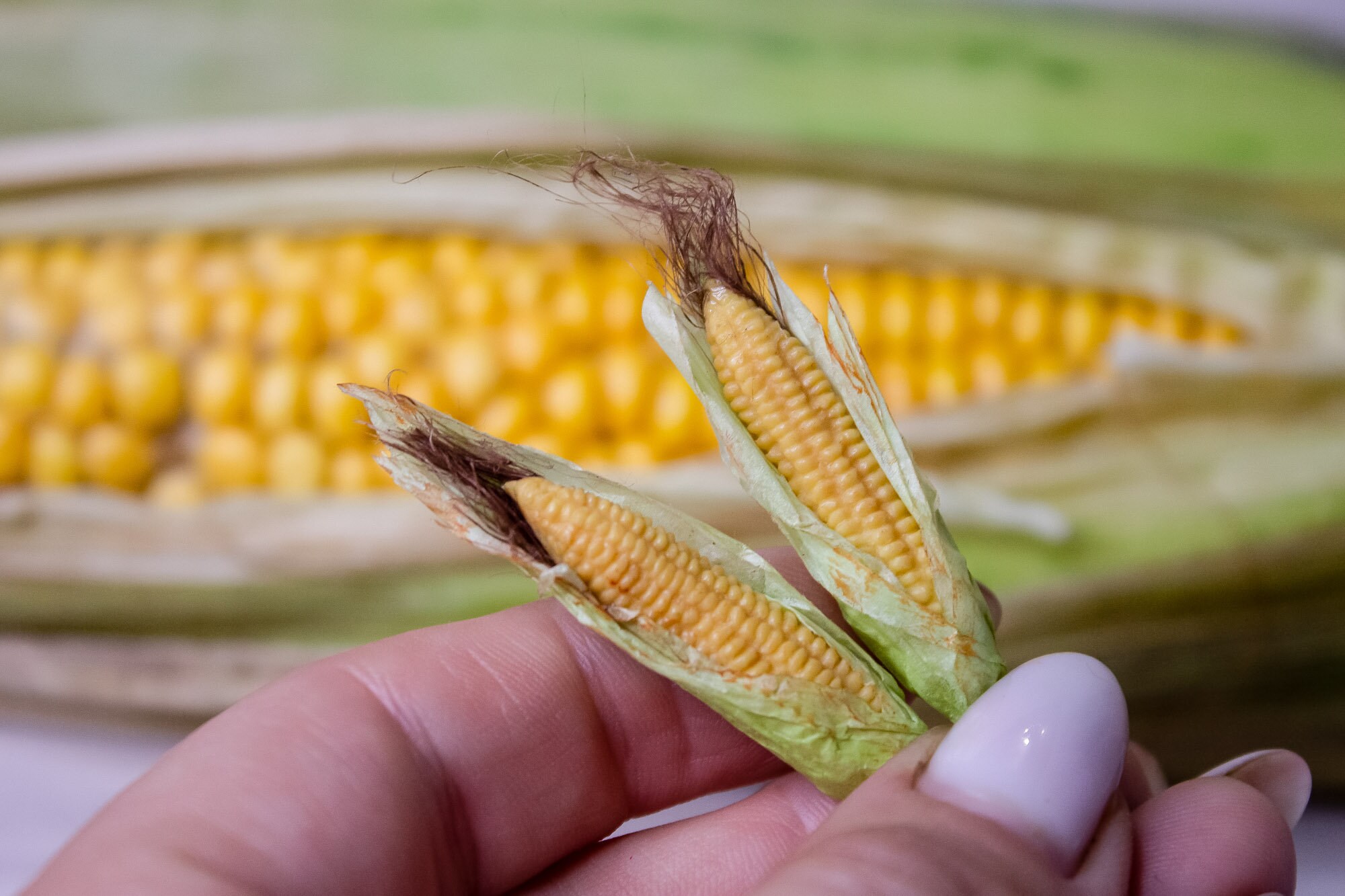 Miniature Corn 1/6 Scale 1/12 Scale Mini Vegetables for a - Etsy