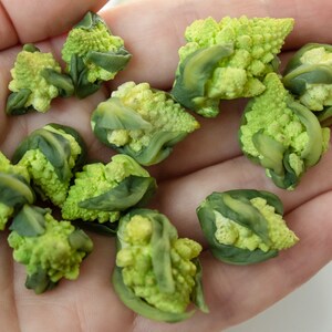 Miniature Cabbage, Cauliflower 1/6 Scale, 1/12 Scale, Mini Vegetables ...