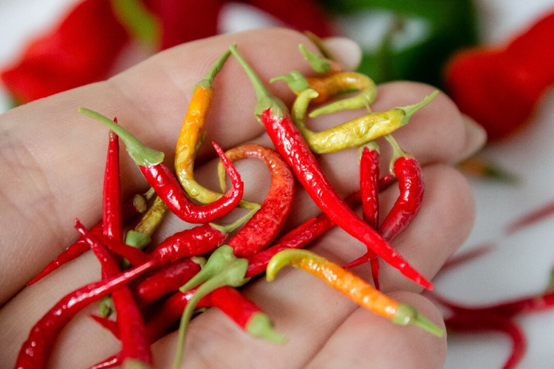 Miniature Hot Pepper, Mini Chili Pepper, Vegetables for a Dollhouse, 1/ ...