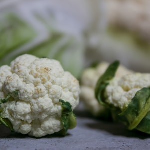 Miniature Cauliflower 1/6 Scale, 1/12 Scale, Mini Vegetables for a ...