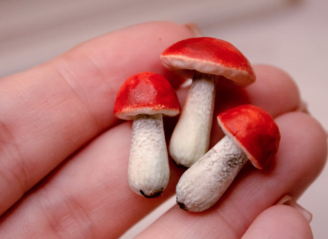 Realistic Miniature Mushrooms 1/6 Scale, Miniature Red Cap Boletus ...