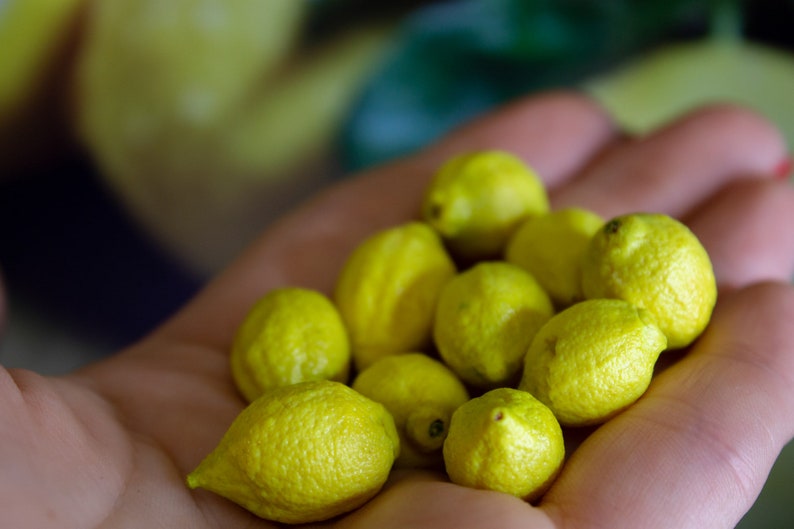 Miniature Lemons 1/6 Scale, Mini Fruits for a Dollhouse, Realistic ...