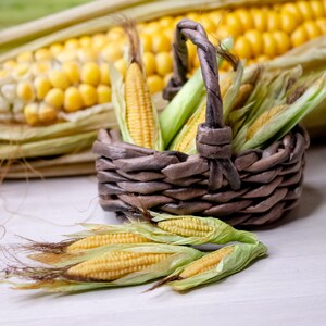 Miniature Corn 1/6 Scale 1/12 Scale Mini Vegetables for a - Etsy