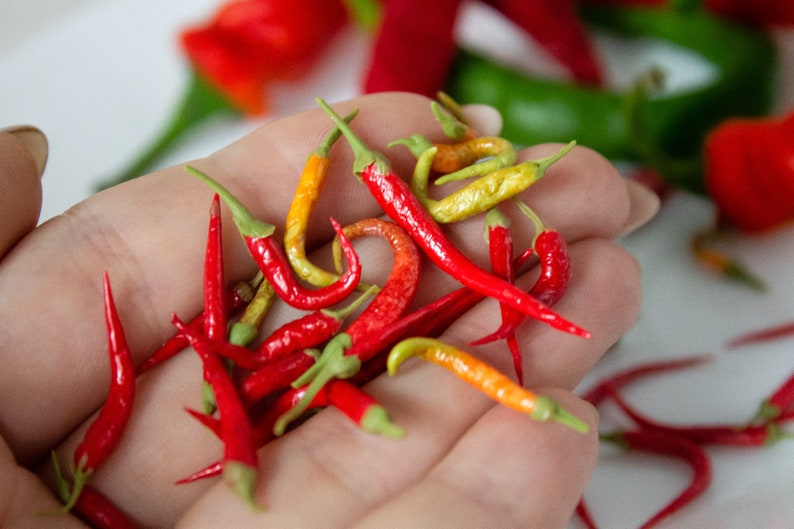 Miniature Hot Pepper, Mini Chili Pepper, Vegetables for a Dollhouse, 1/ ...