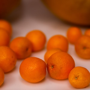 Miniature Oranges – Whole and Halves | 1/6 and 1/12 Scale Dollhouse ...