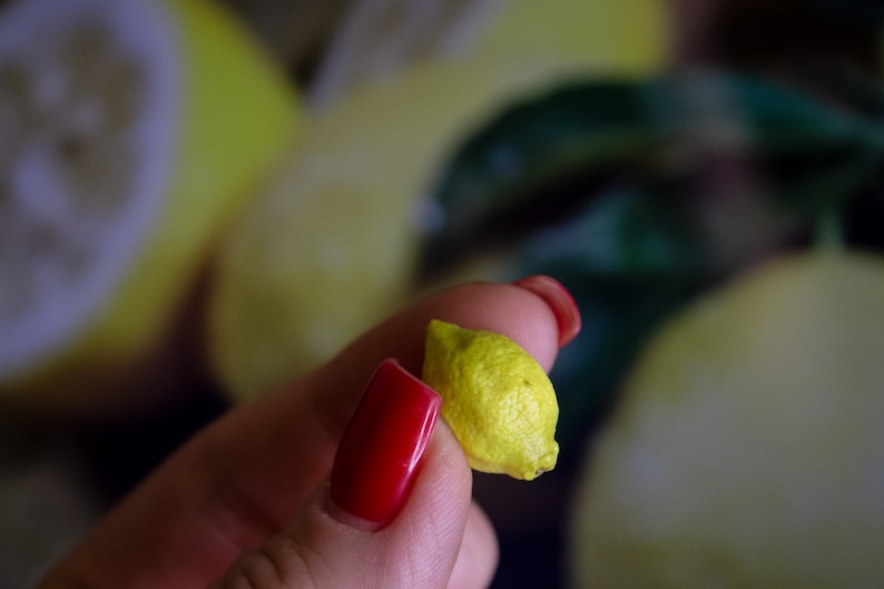 Miniature Lemons 1/6 Scale, Mini Fruits for a Dollhouse, Realistic ...