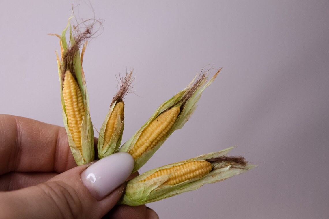 Miniature Corn 1/6 Scale 1/12 Scale Mini Vegetables for a - Etsy