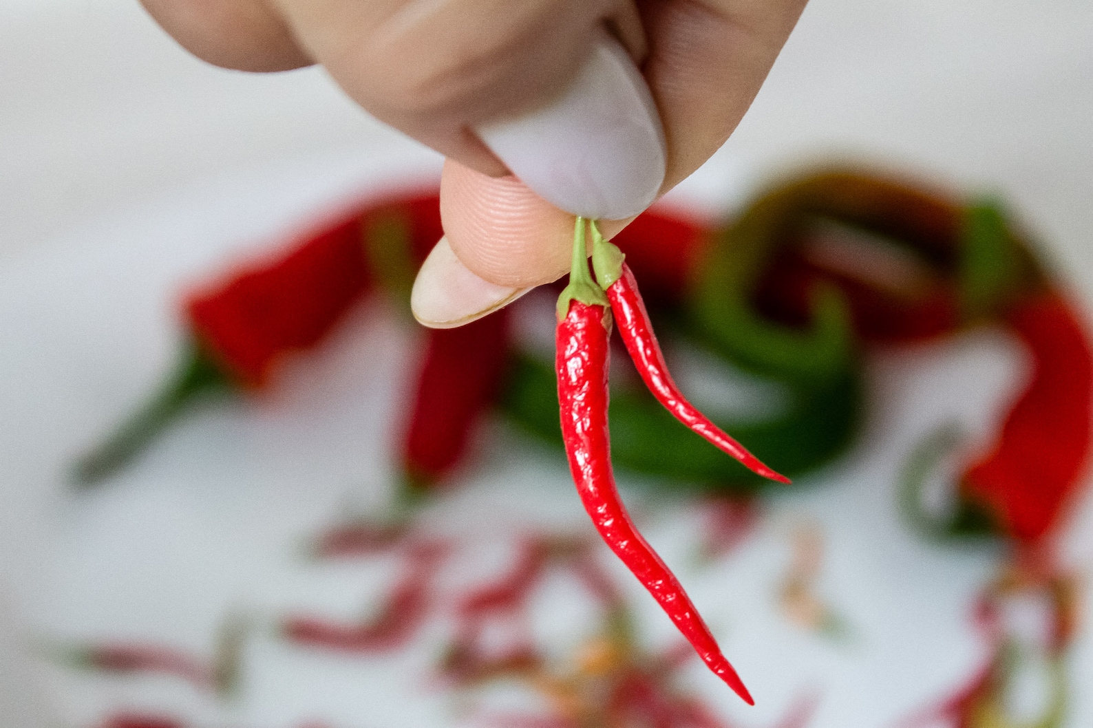 Miniature Hot Pepper, Mini Chili Pepper, Vegetables for a Dollhouse, 1/ ...