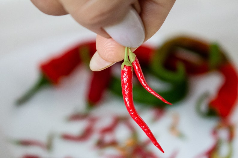 Miniature Hot Pepper, Mini Chili Pepper, Vegetables for a Dollhouse, 1/ ...