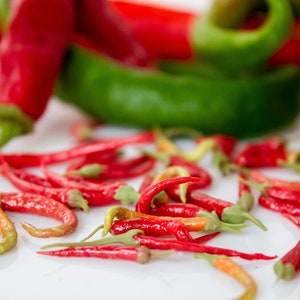 Miniature Hot Pepper, Mini Chili Pepper, Vegetables for a Dollhouse, 1/ ...