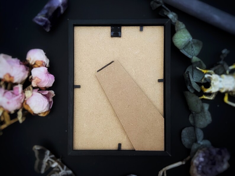 Scorpio With Butterflies and Crescent Moons in a Picture Frame ...