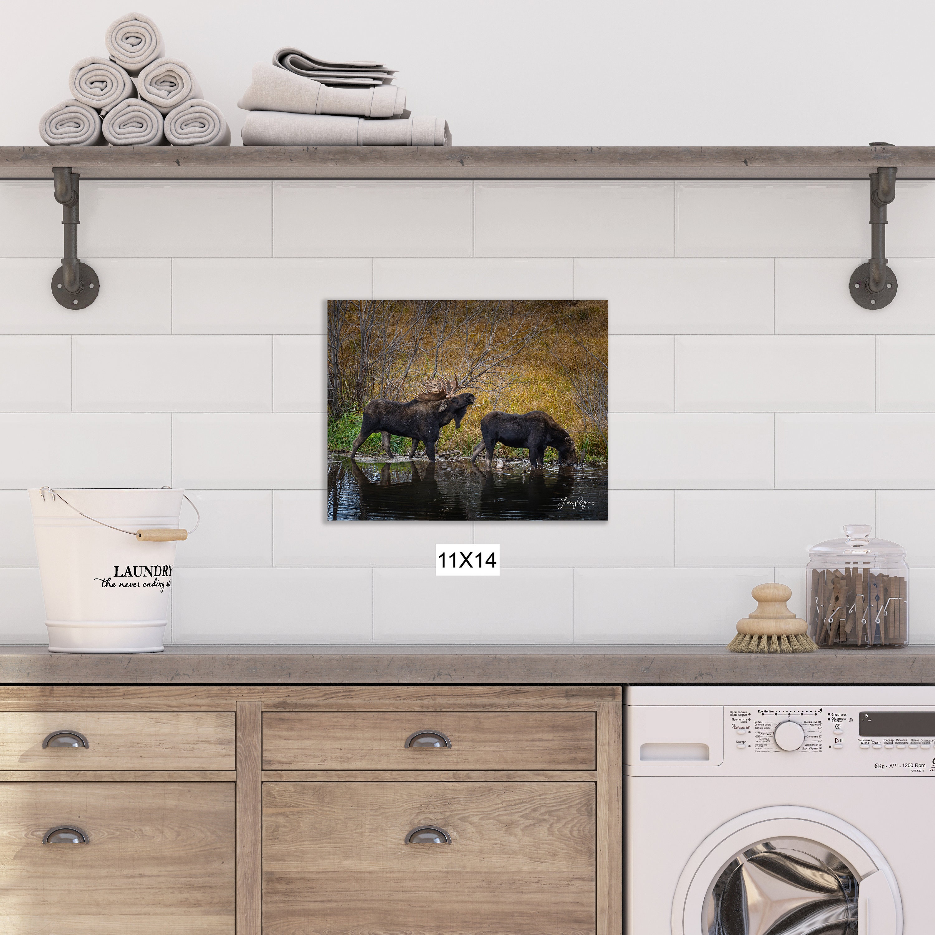 Hoback, Famous Bull Moose of Grand Teton National Park, Western Wall ...