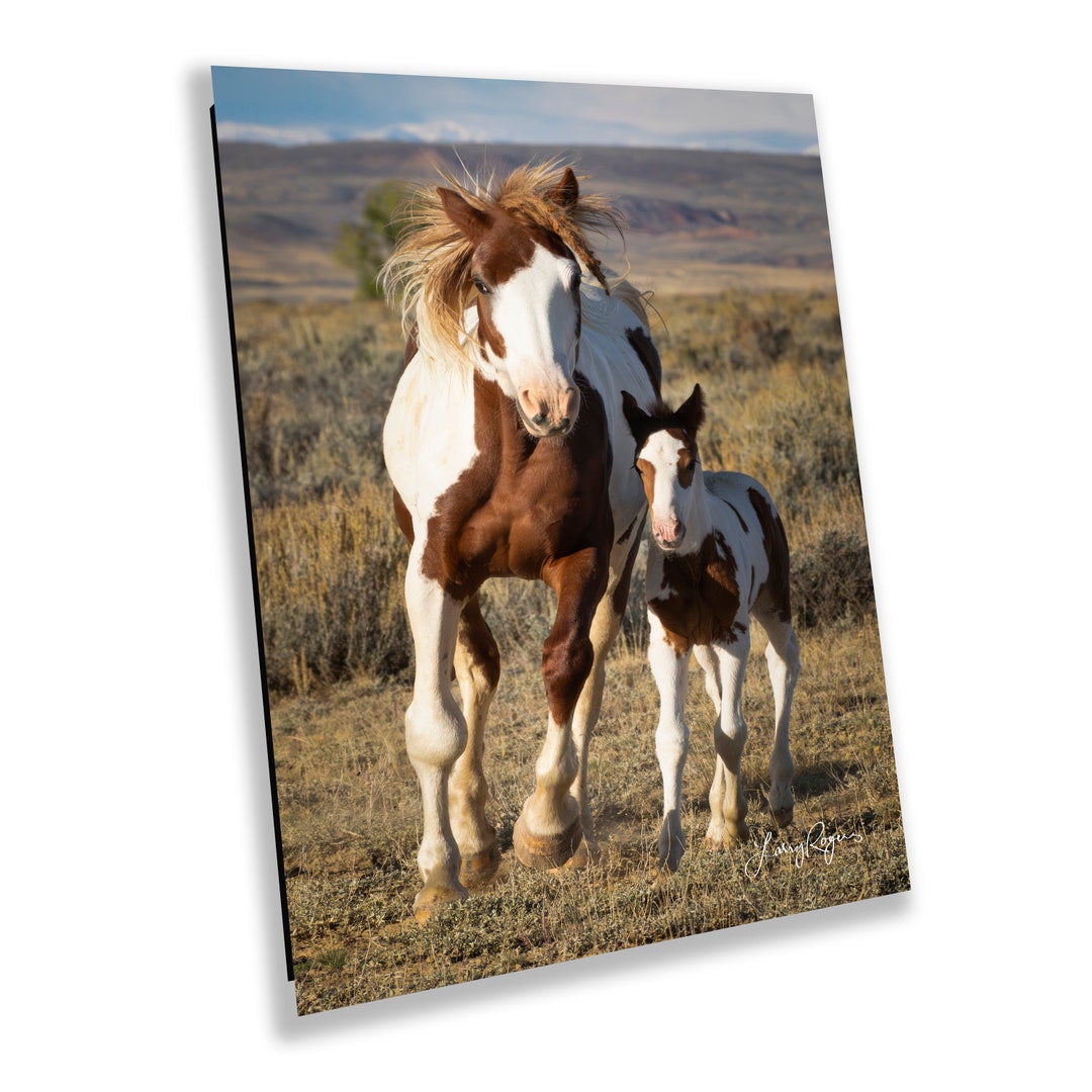 Wild Horses Print: Mare and Foal, Western Wall Art - Etsy