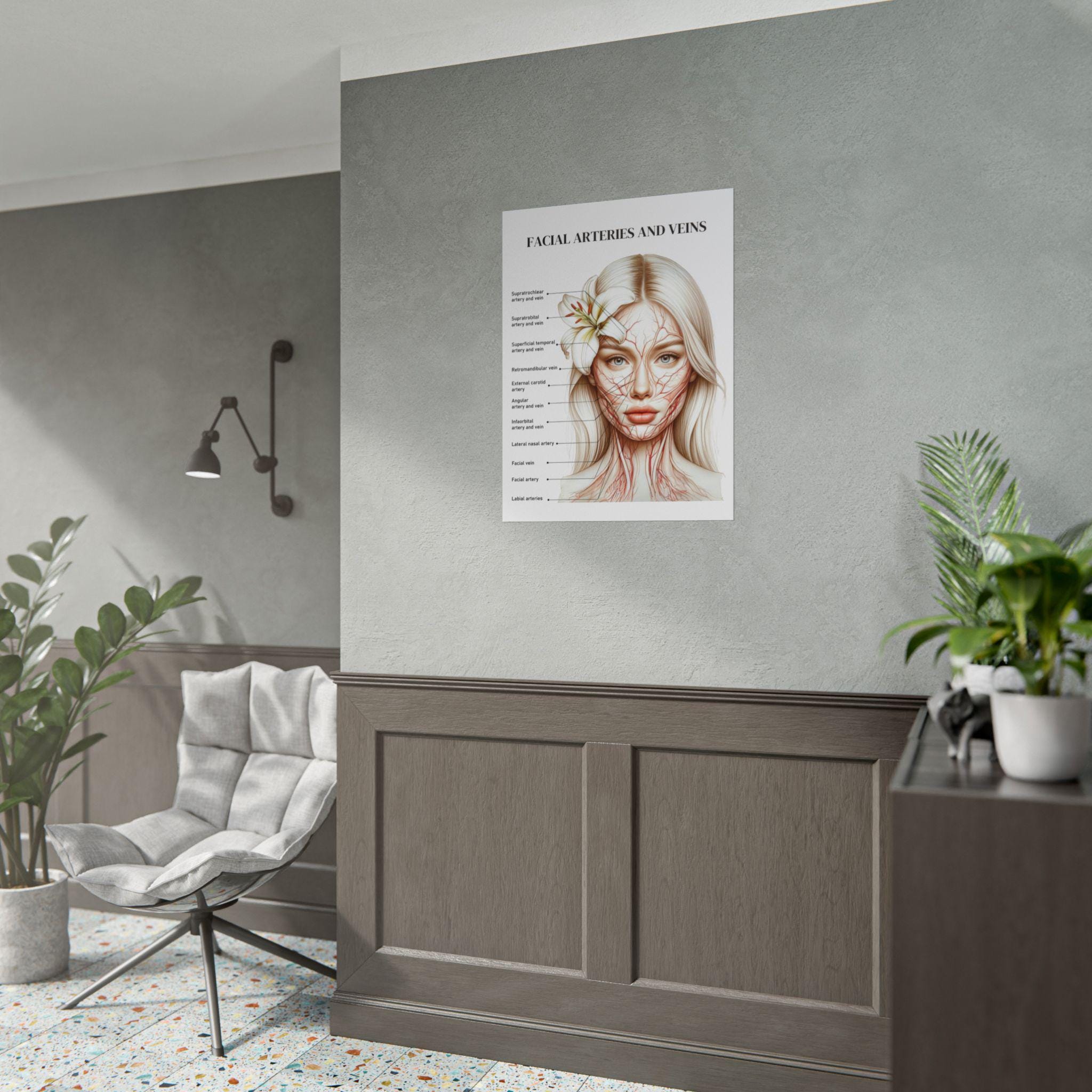 Facial Arteries and Veins Labelled - Rolled Poster - Etsy