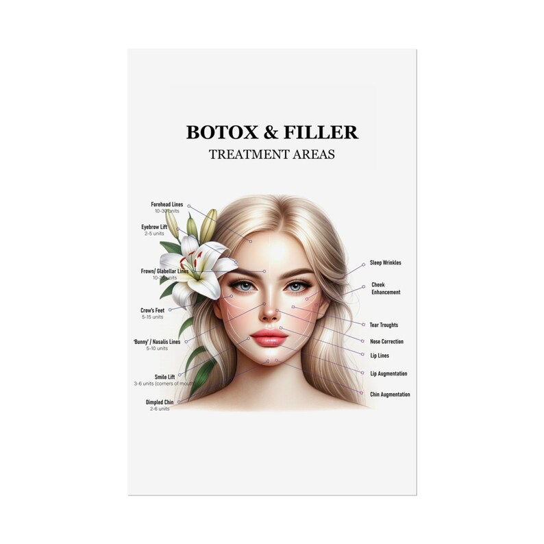 Botox and Filler Treatment Area Rolled Poster, Facial Anatomy Muscles ...