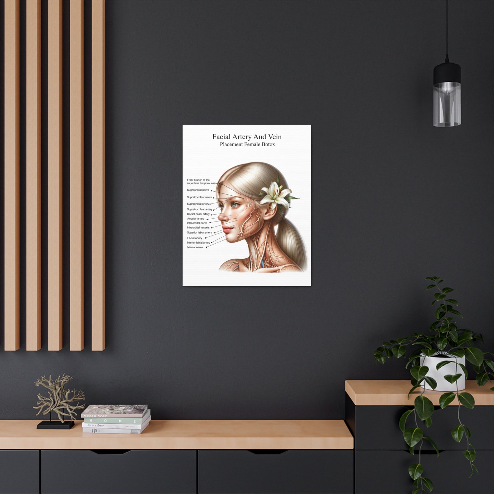 Customized Botox Placement Areas Canvas, Facial Artery and Vein Canva ...