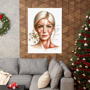 Customized With Logo Facial Anatomy Poster, Facial Muscle Poster, Anti ...
