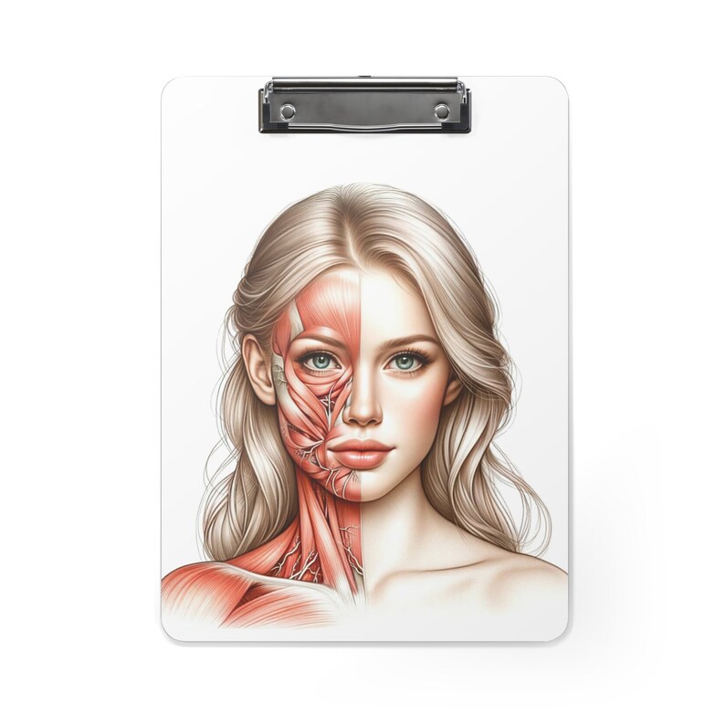 Facial Muscles and Veins Spa Office Clipboard, Botox Dealer Clipboard ...