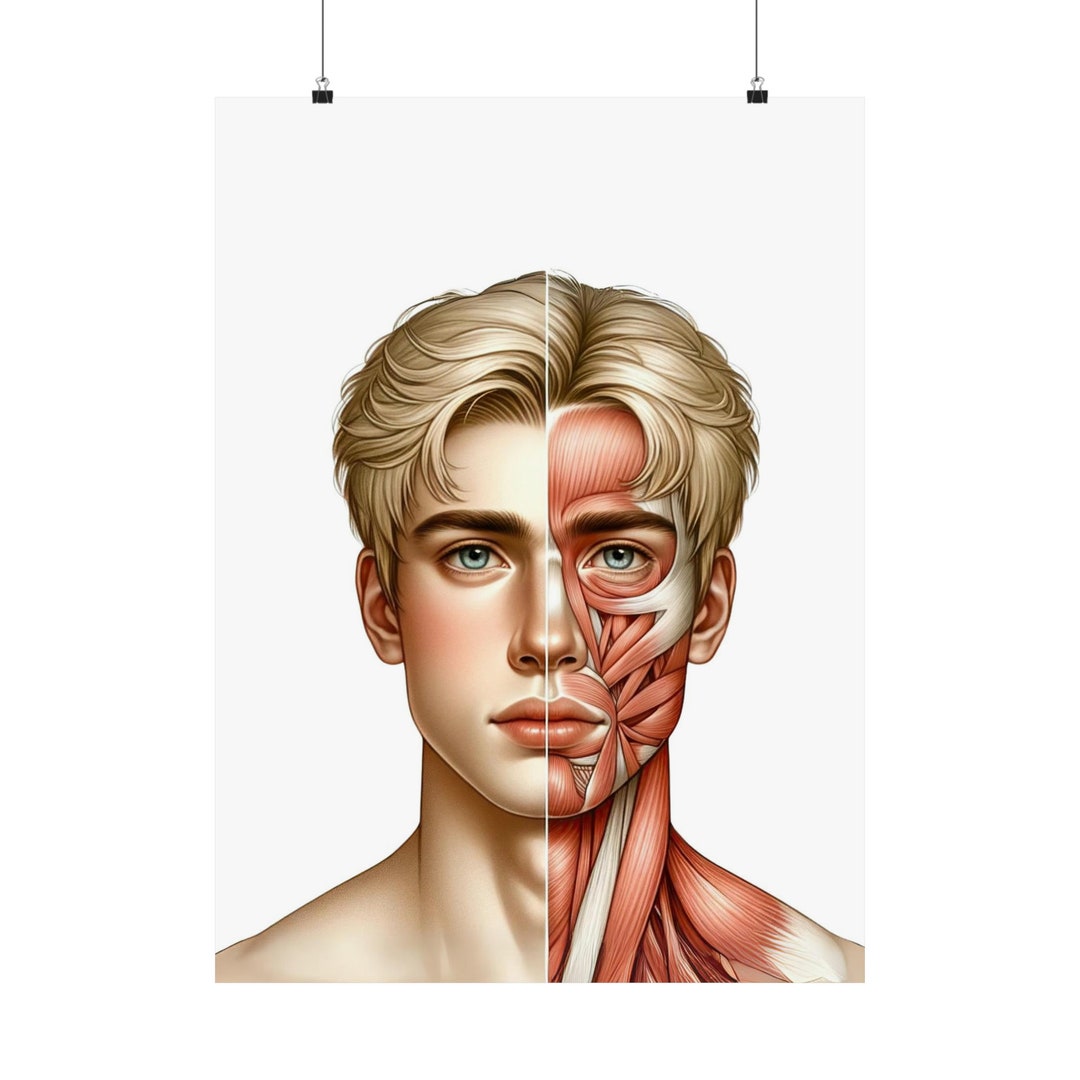 Customized With Logo Male Facial Muscle Poster, Botox Treatment Poster ...