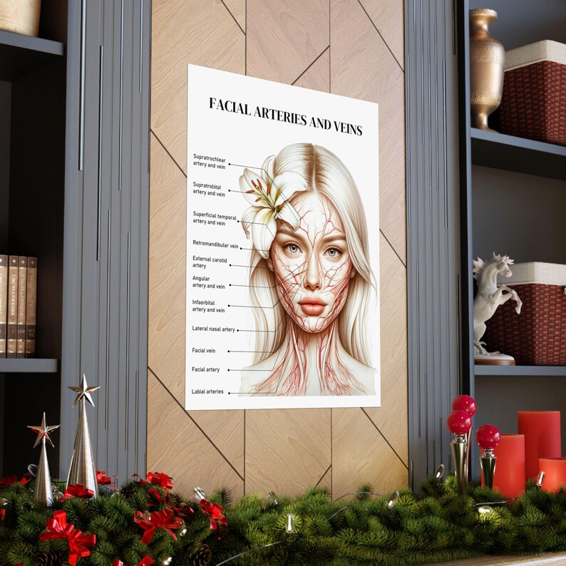 Facial Arteries and Veins Poster, Botox Treatment Poster, Med Spa Decor ...