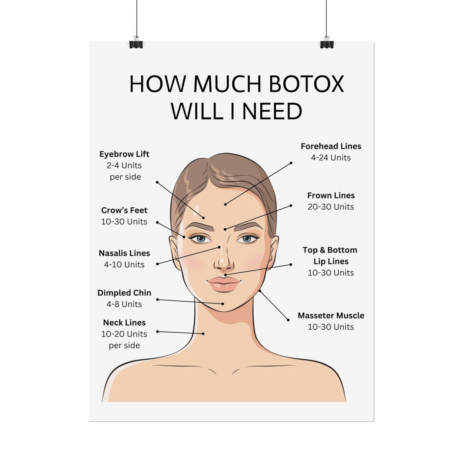 How Much Botox Will I Need Rolled Poster, Facial Anatomy Muscles Rolled ...