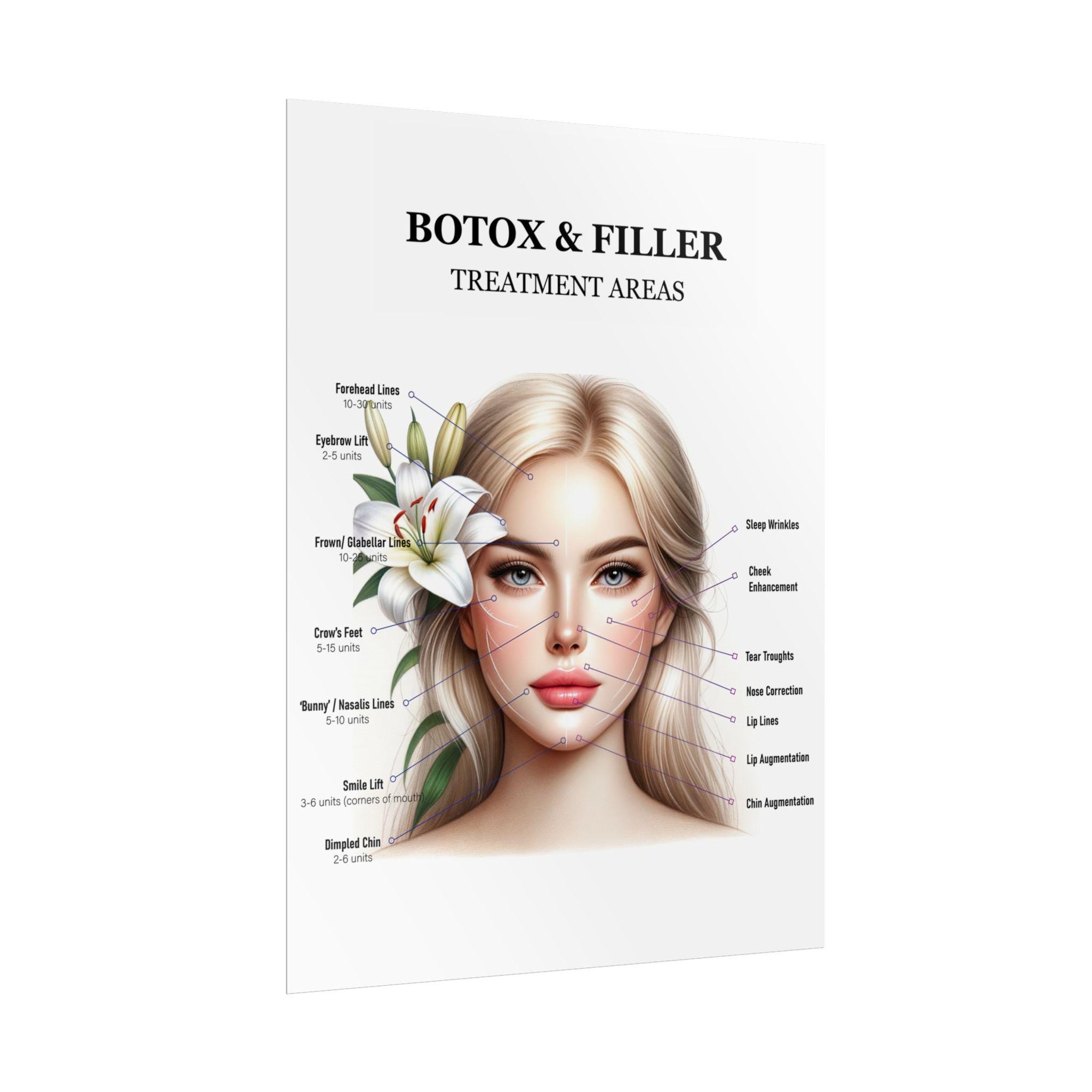 Botox and Filler Treatment Area Rolled Poster, Facial Anatomy Muscles ...