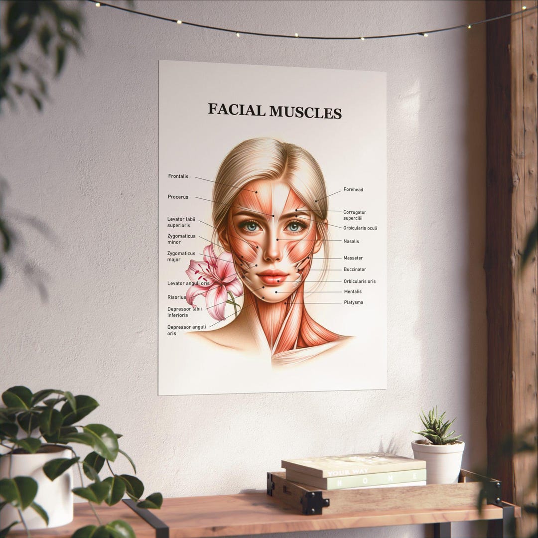 Female Facial Muscle Poster, Botox Treatment Poster, Med Spa Poster - Etsy