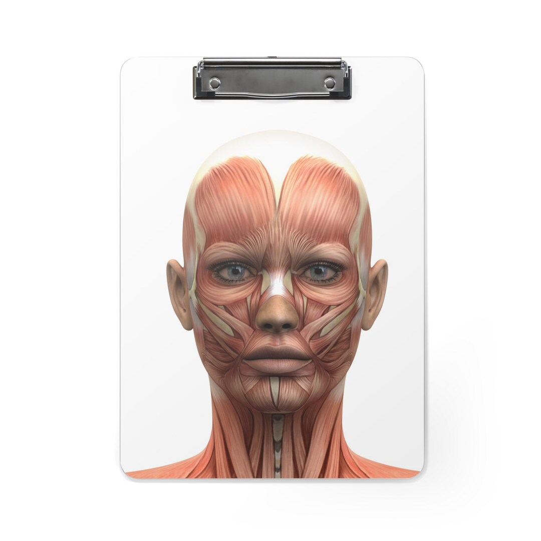 Female Facial Muscles Spa Office Clipboard, Botox Dealer Clipboard ...