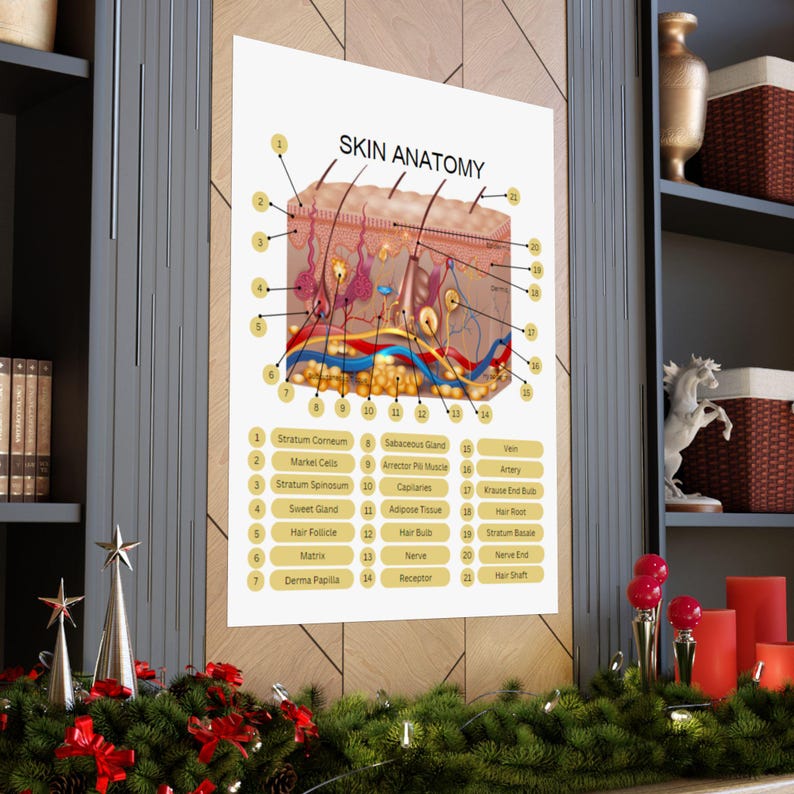 Skin Anatomy Poster, Medspa Nurse Injector Decor, Esthetician ...