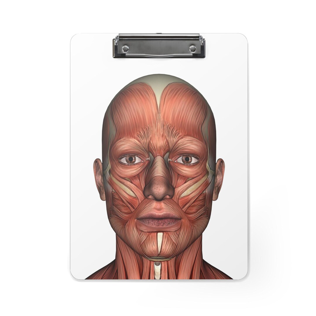 Male Facial Muscles Spa Office Clipboard, Botox Dealer Clipboard ...
