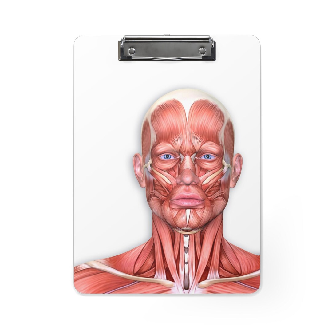 Male Facial Muscles Spa Office Clipboard, Botox Dealer Clipboard ...
