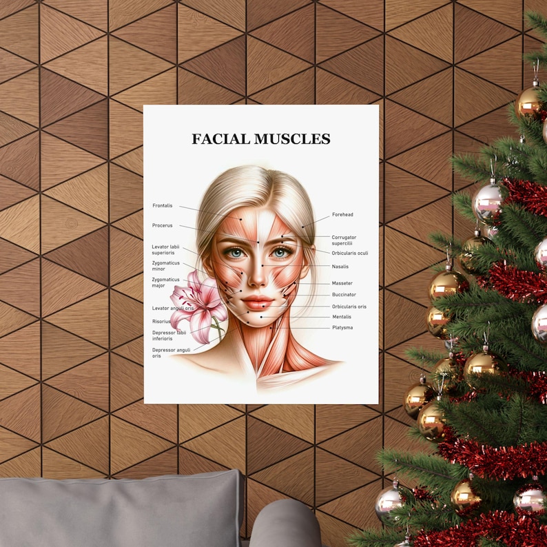 Female Facial Muscle Poster, Botox Treatment Poster, Med Spa Poster - Etsy