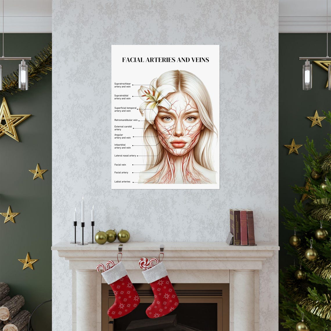 Facial Arteries and Veins Poster, Botox Treatment Poster, Med Spa Decor ...