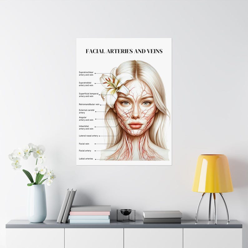 Facial Arteries and Veins Poster, Botox Treatment Poster, Med Spa Decor ...