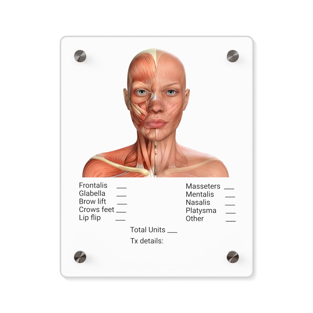 Customized Facial Anatomy Acrylic Dry Erase Board for Note Taking ...