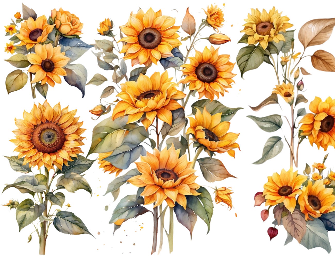 Sunflower Watercolor Clip Art 44 PNG Digital Download Commercial Use - Etsy