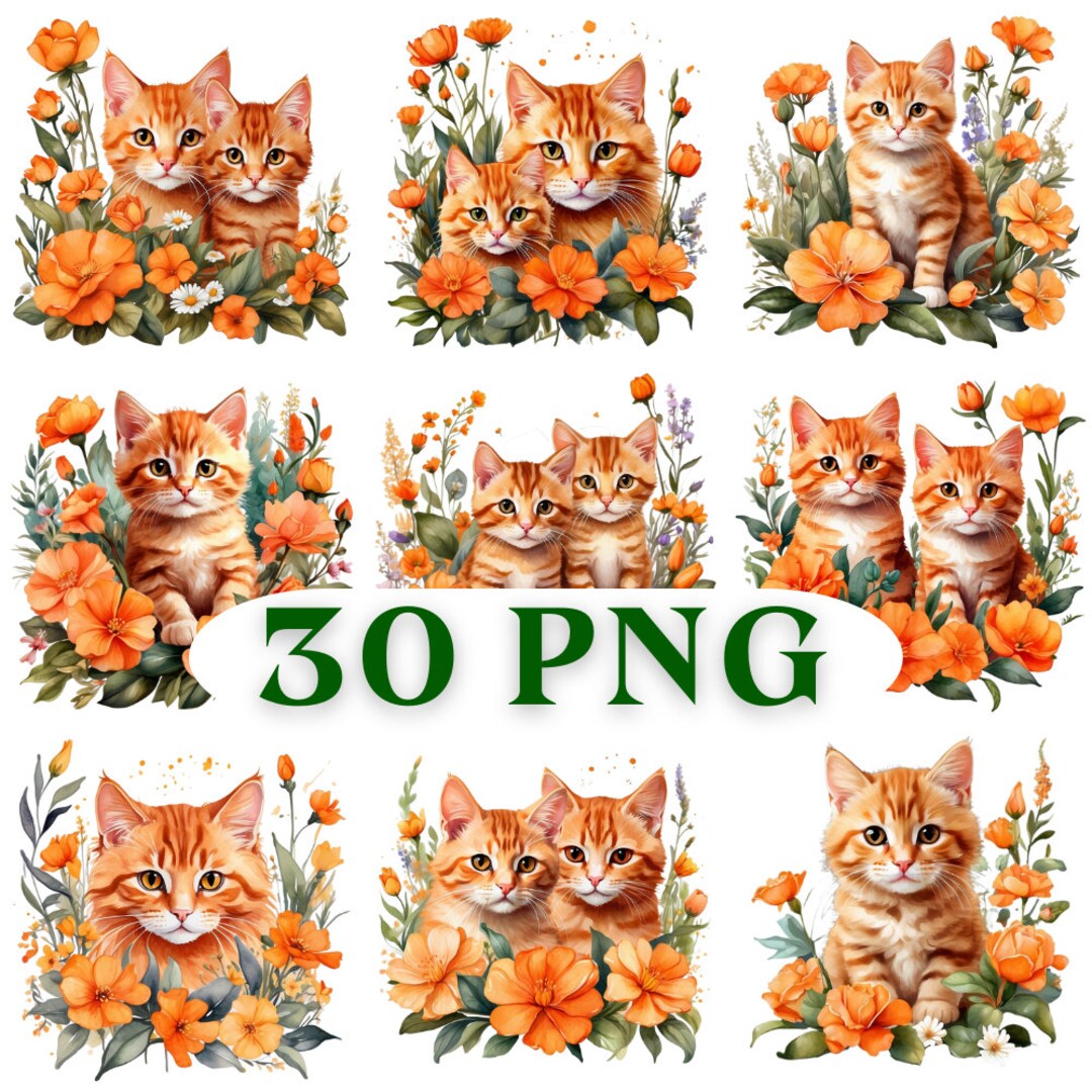 Watercolor Orange Cats Clipart 30 PNG Cute Floral Tabby Cats and ...