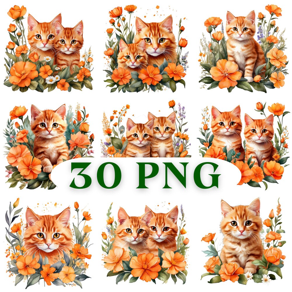 Watercolor Orange Cats Clipart 30 PNG Cute Floral Tabby Cats and ...