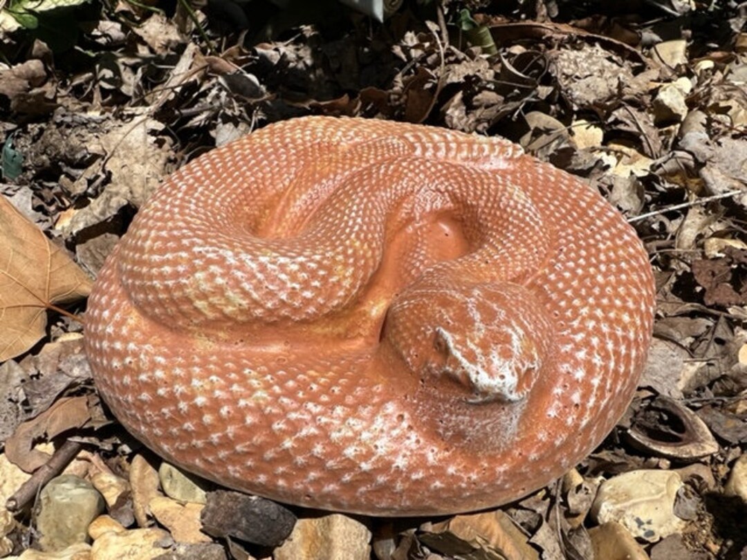 Rattlesnake Brown Concrete Statuary | Concrete Statue, Home and Garden ...