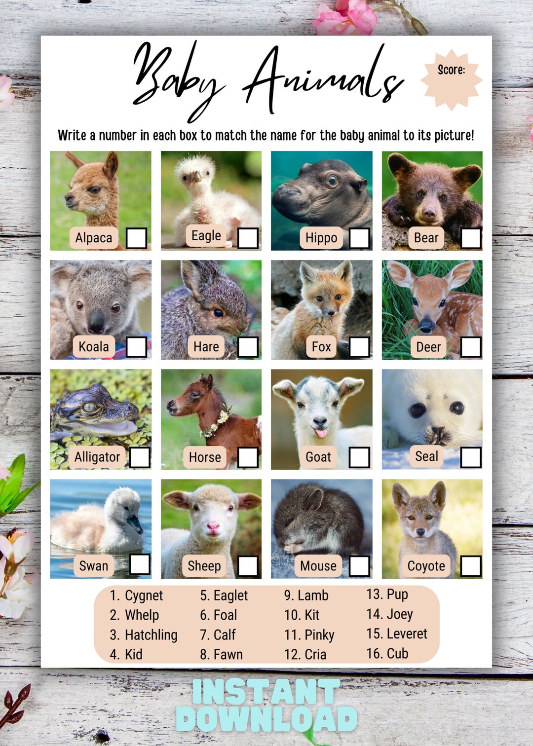 Baby Shower Baby Animals Game, Gender Neutral Minimalist Baby Shower ...