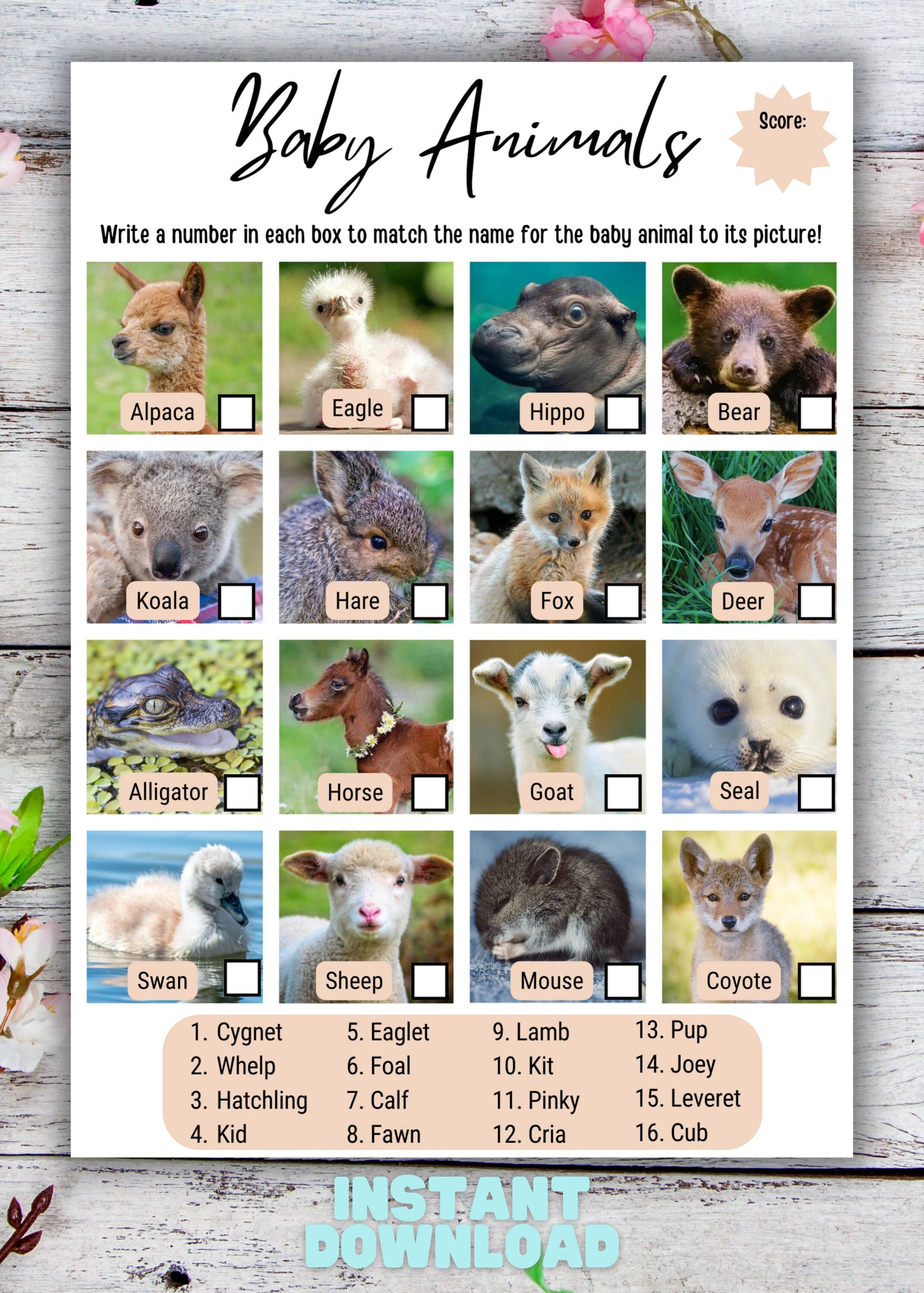 Baby Shower Baby Animals Game, Gender Neutral Minimalist Baby Shower ...