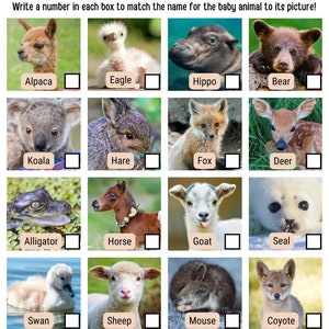 Baby Shower Baby Animals Game, Gender Neutral Minimalist Baby Shower ...